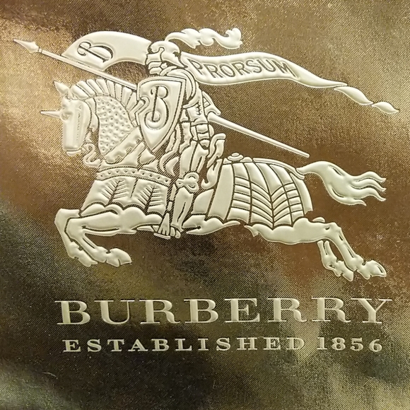 Burberry | Other | Burberry Established 856 Bag In Gold | Poshmark